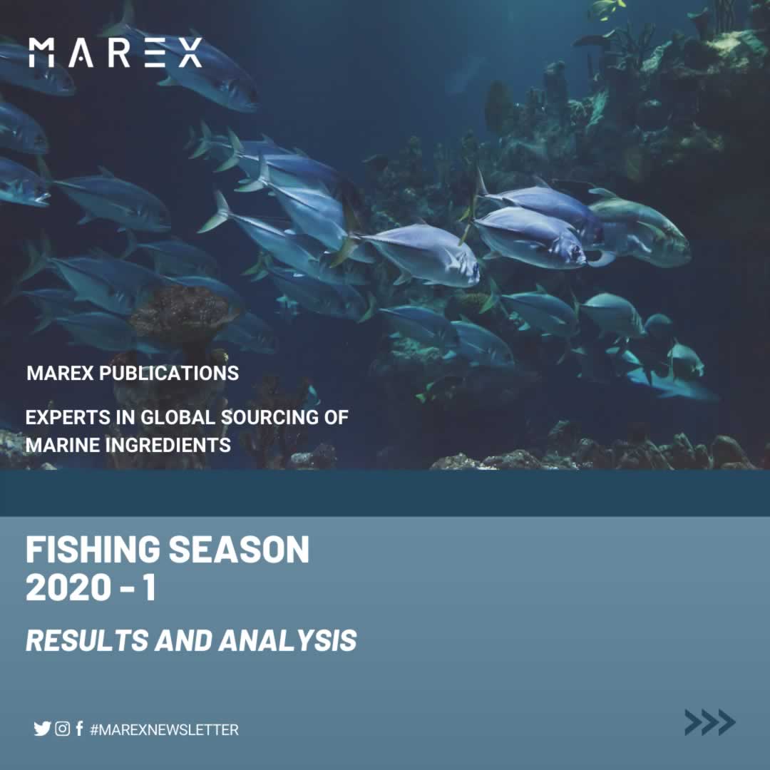 Marex - Global Sourcing